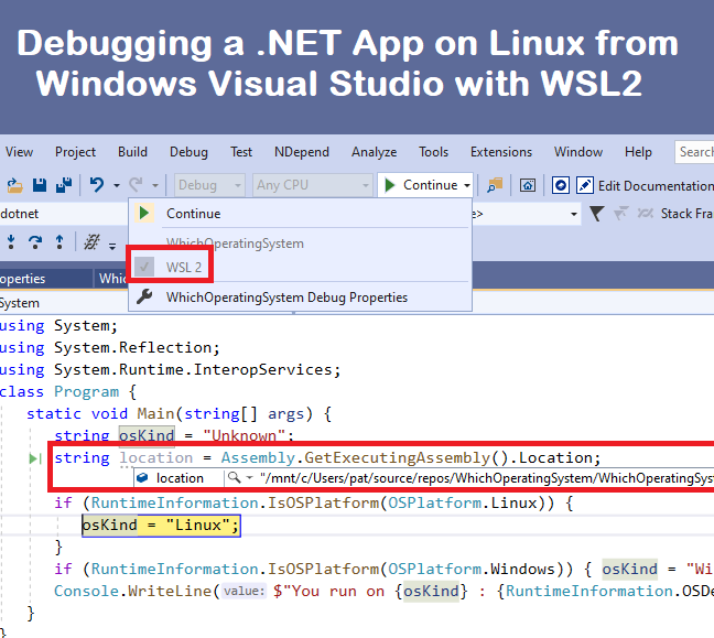 Debugging A NET App On Linux From Windows Visual Studio With WSL NDepend